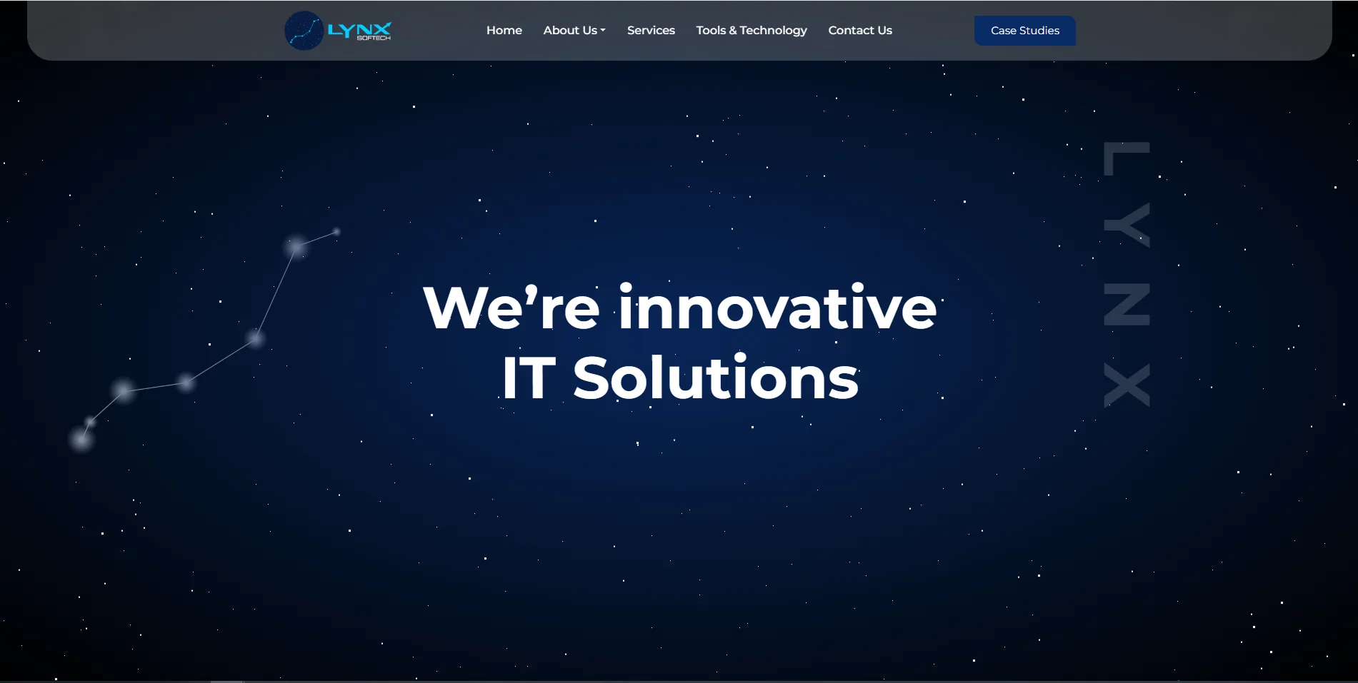 Software, ERP, Product Development for Finance, Healthcare, Textile | Lynx Softech